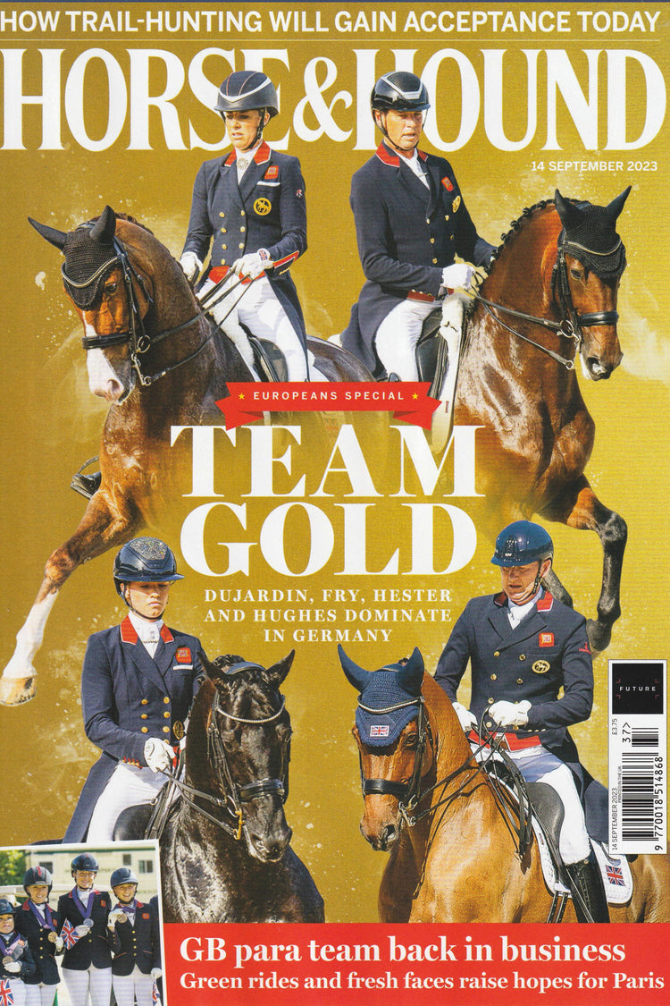 Our Shops – Dollyhotdogs Ltd